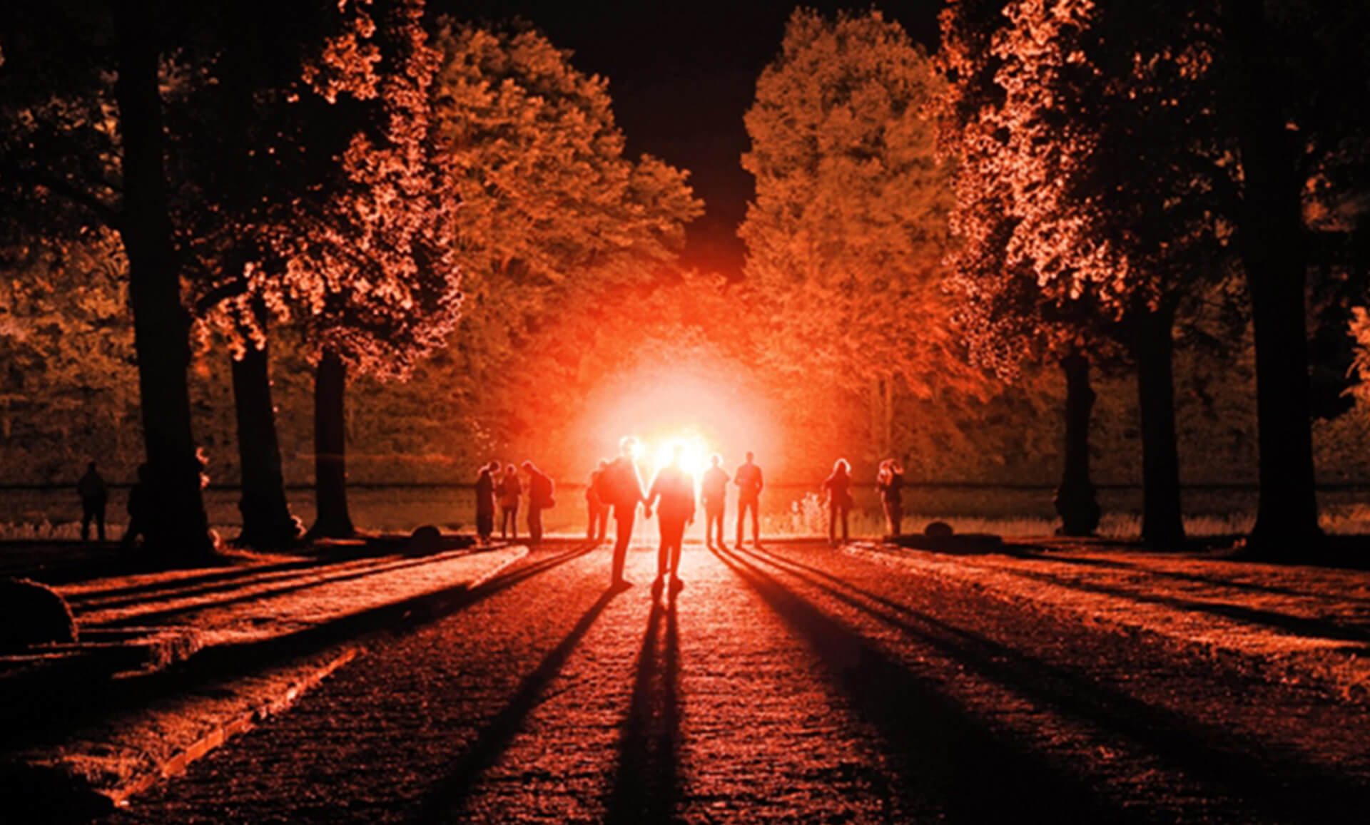 Darkness 1816 art installation - Arts Outdoor Lighting Multimedia and ...